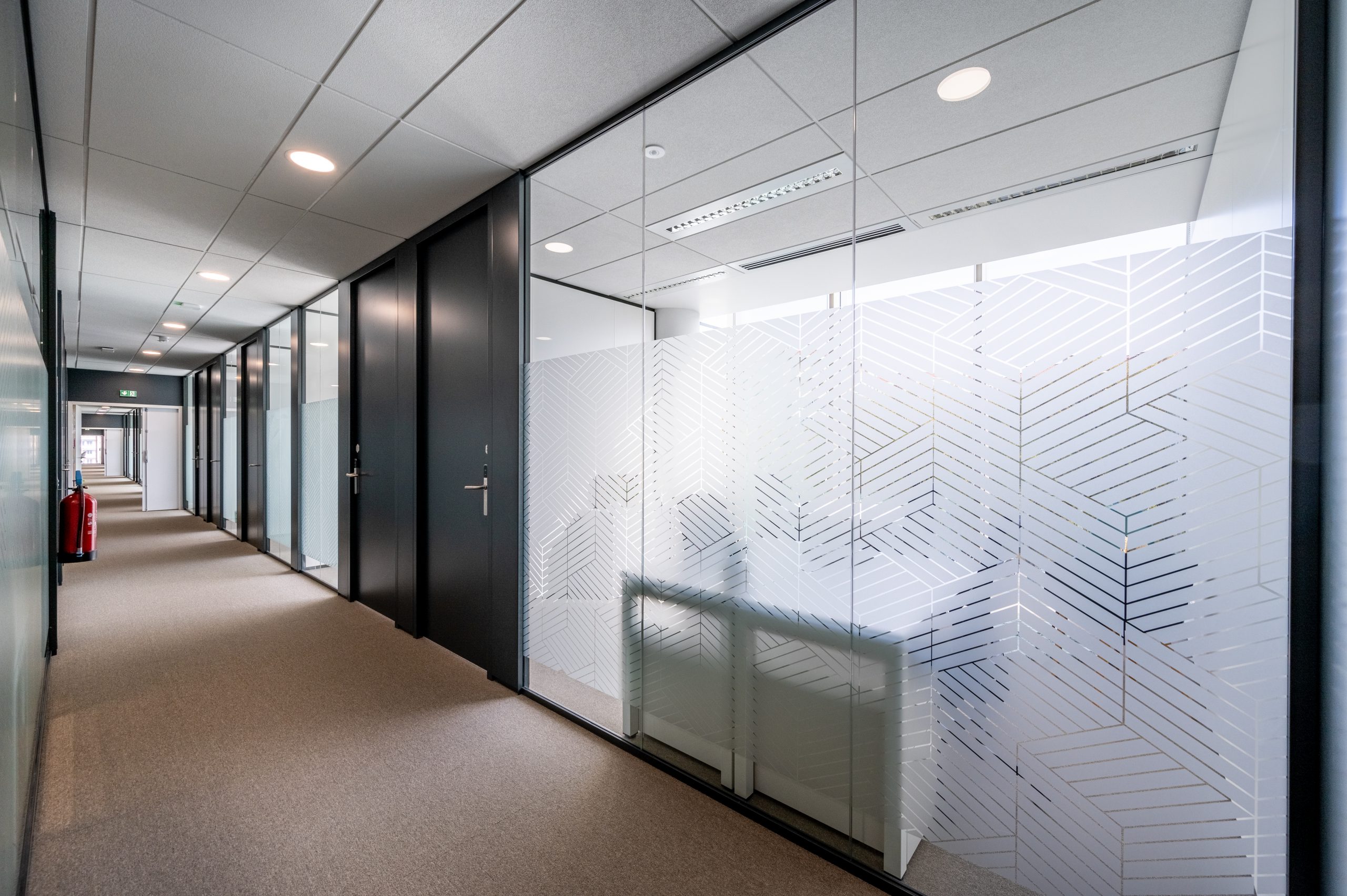 Maars马尔斯隔断项目案例| 法国马赛IWG Spaces Marseille 联合办公室隔断-Maars Living Walls